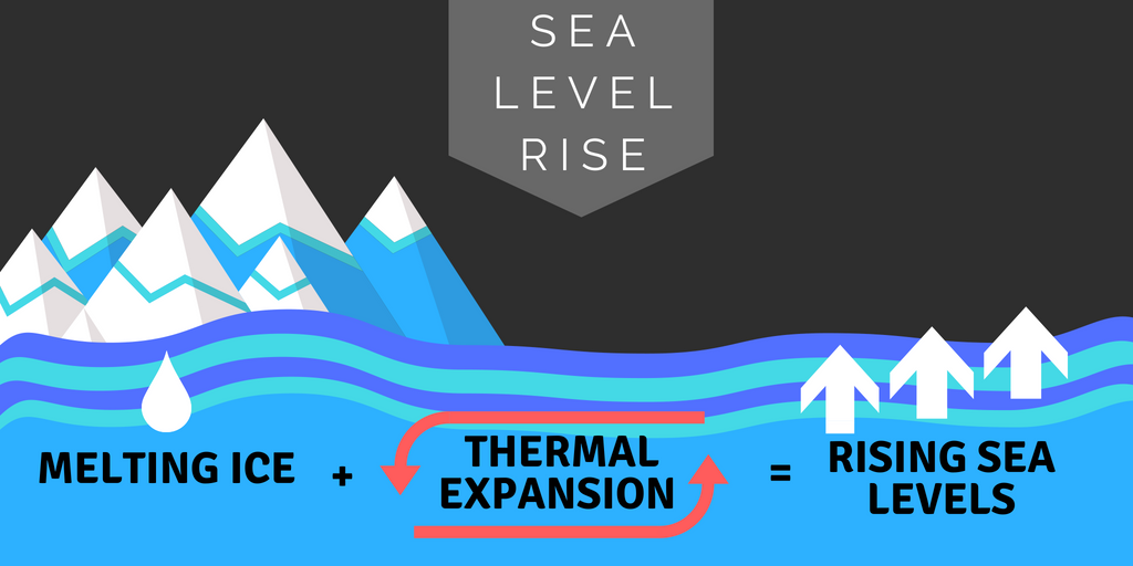 Sea Level Rise | City of Hayward - Official website